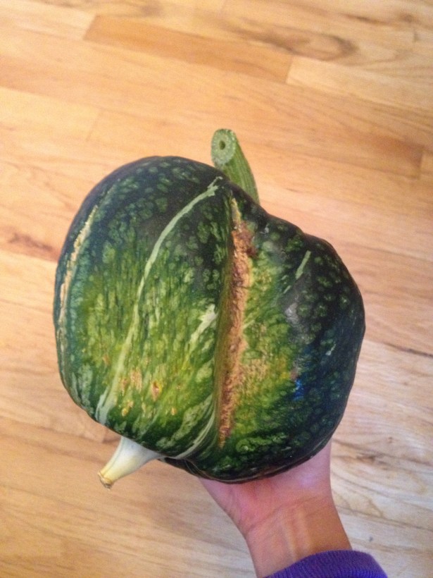 Fall Harvest: Buttercup Squash Pie and Buttercup Squash Soup | Julie's ...